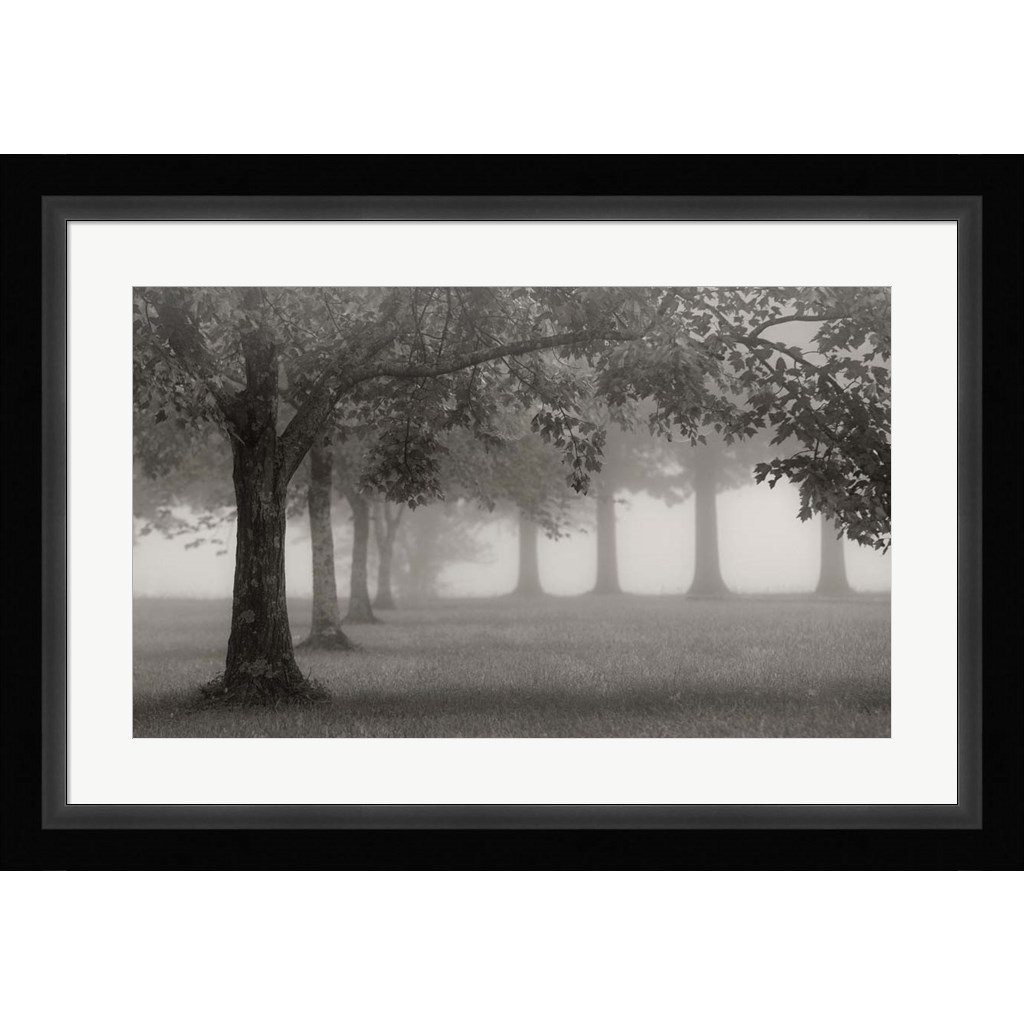 Loon Peak® Trees In Early Autumn By Nicholas Bell, Framed Wall Art ...