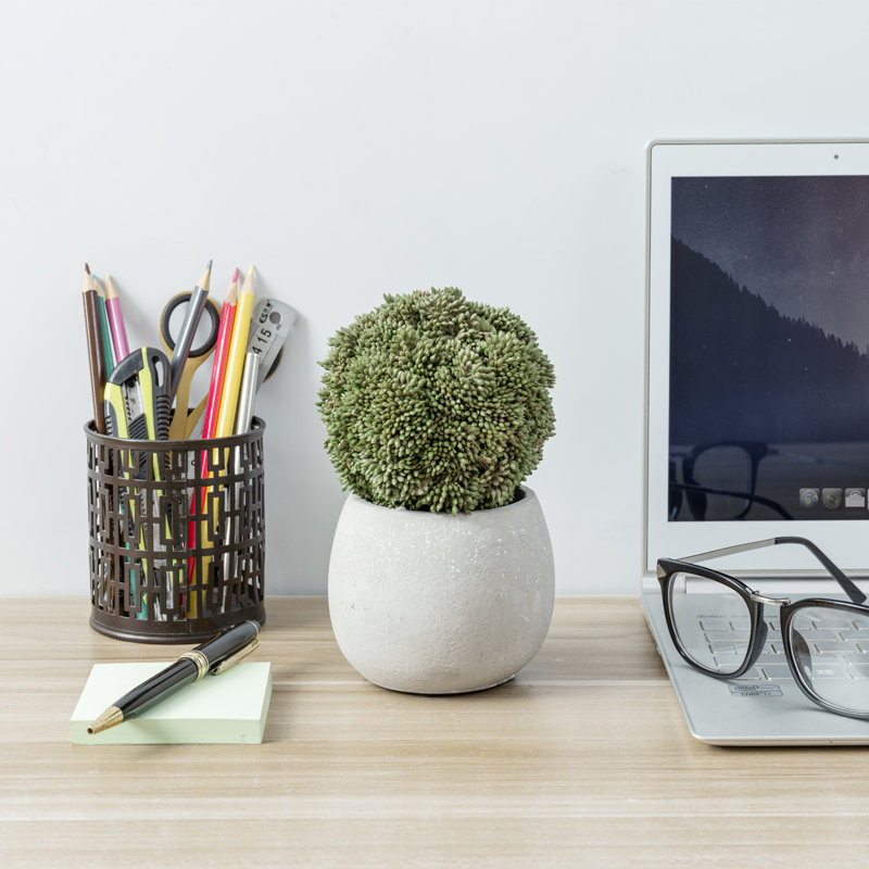 Primrue 4 Piece Home Décor Decorative Ball Objects Vase Filler ...