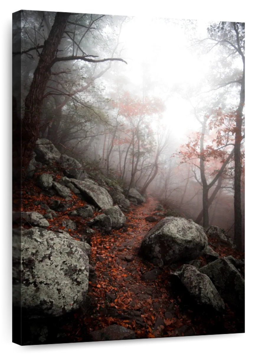 Lark Manor Harnek Mountain Boulder Trek - Wayfair Canada