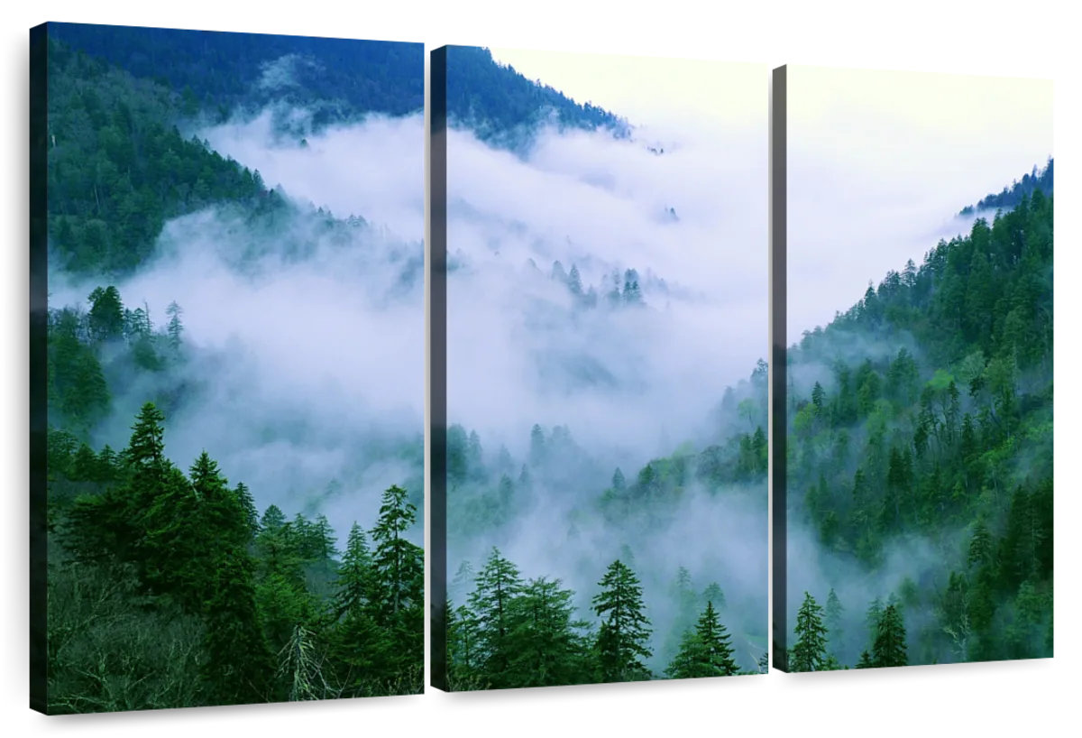 Elephant Stock Smoky Mountains Mist | Wayfair