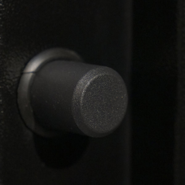 Sports Afield Home Defense 4-Gun Fireproof Biometric Lock Gun Safe ...