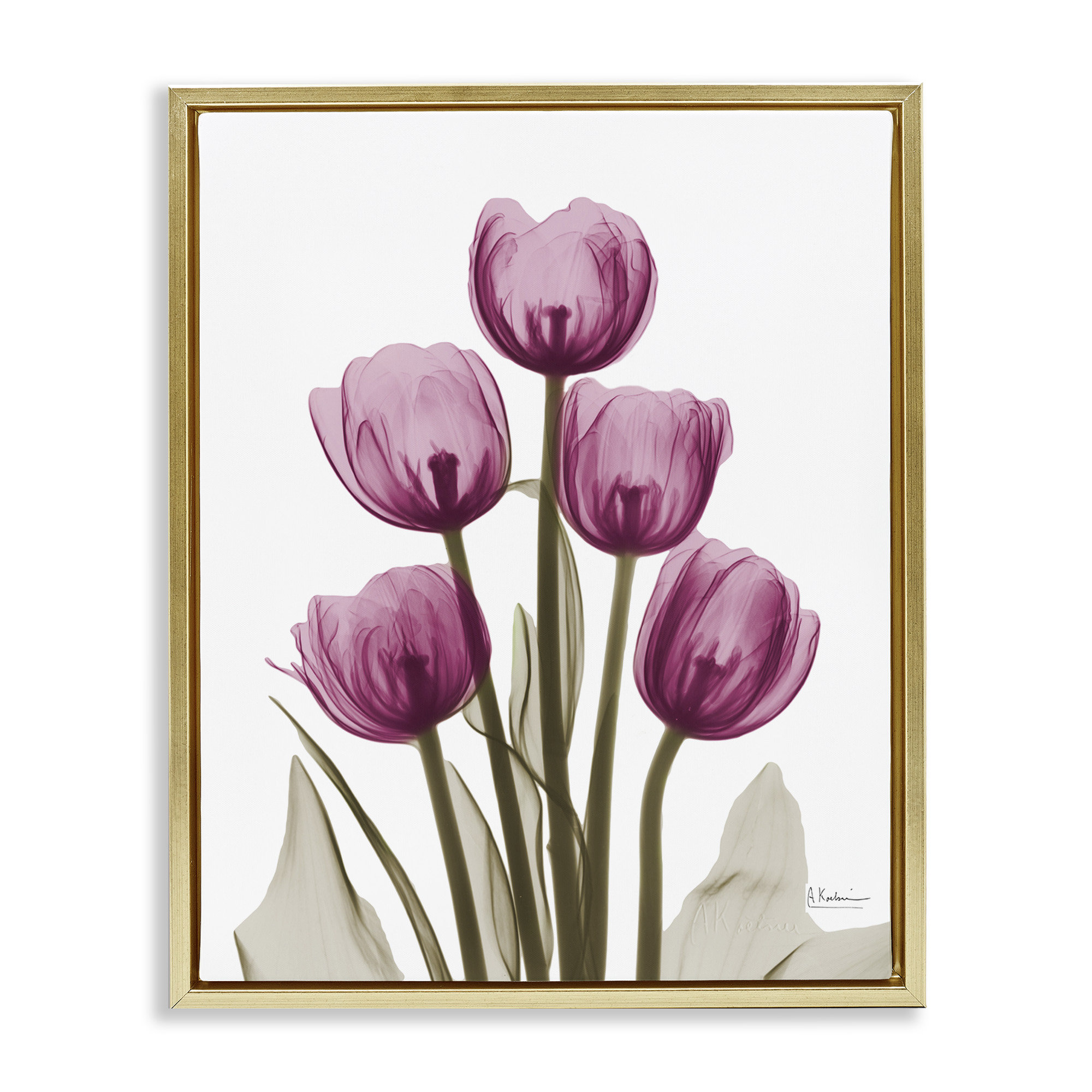 Stupell Industries Pink X-Ray Tulips On Canvas Photograph | Wayfair