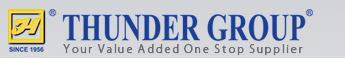 Thunder Group Inc. Dragon | Wayfair