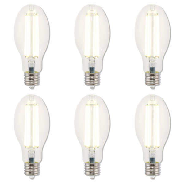 Westinghouse Lighting Equivalent E39/Mogul 5000K LED Bulb | Wayfair