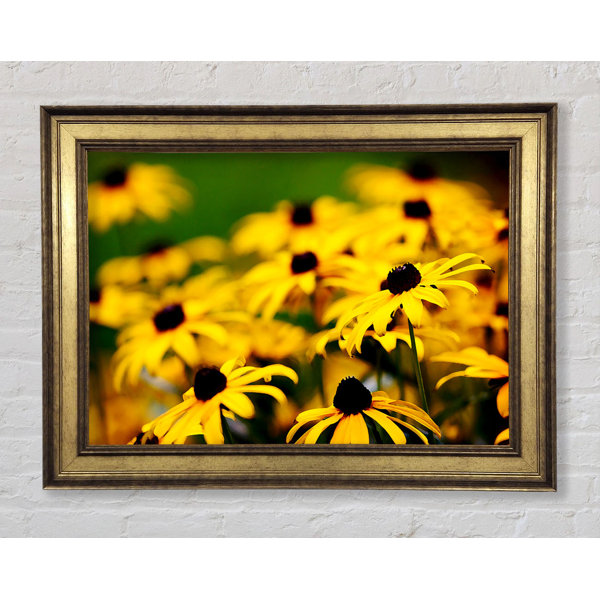 Bright Star Yellow Daisy Pom Poms - Single Picture Frame Art Prints ...