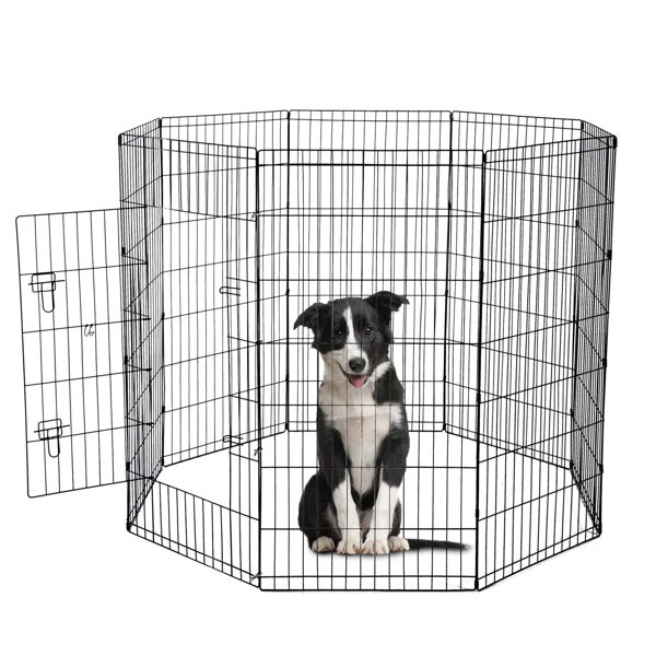 Archie & Oscar Chalk 61cm 8 Panel Indoor/Outdoor Metal Pet Pen ...