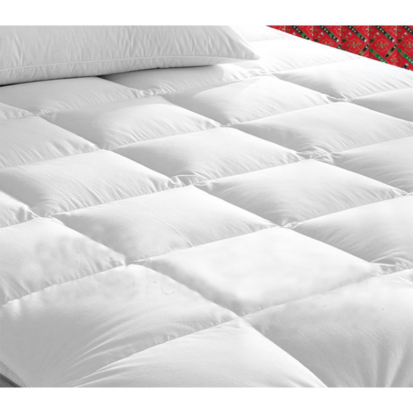 Symple Stuff Kinvara 10cm Polyester Mattress Topper & Reviews | Wayfair ...