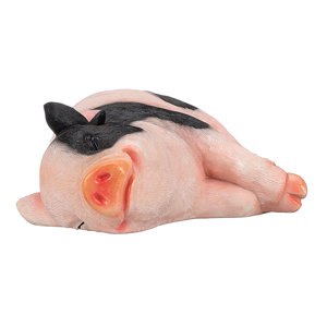 Design Toscano Sleeping Pig Statue & Reviews | Wayfair