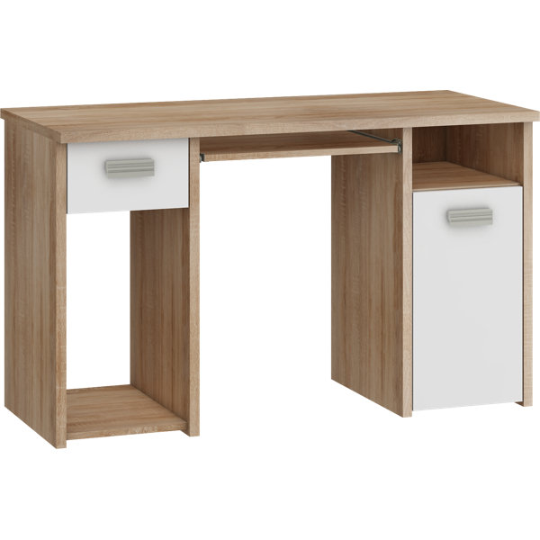 Ebern Designs Emanuelly 125Cm W Rectangular Computer Desk with Cabinet ...