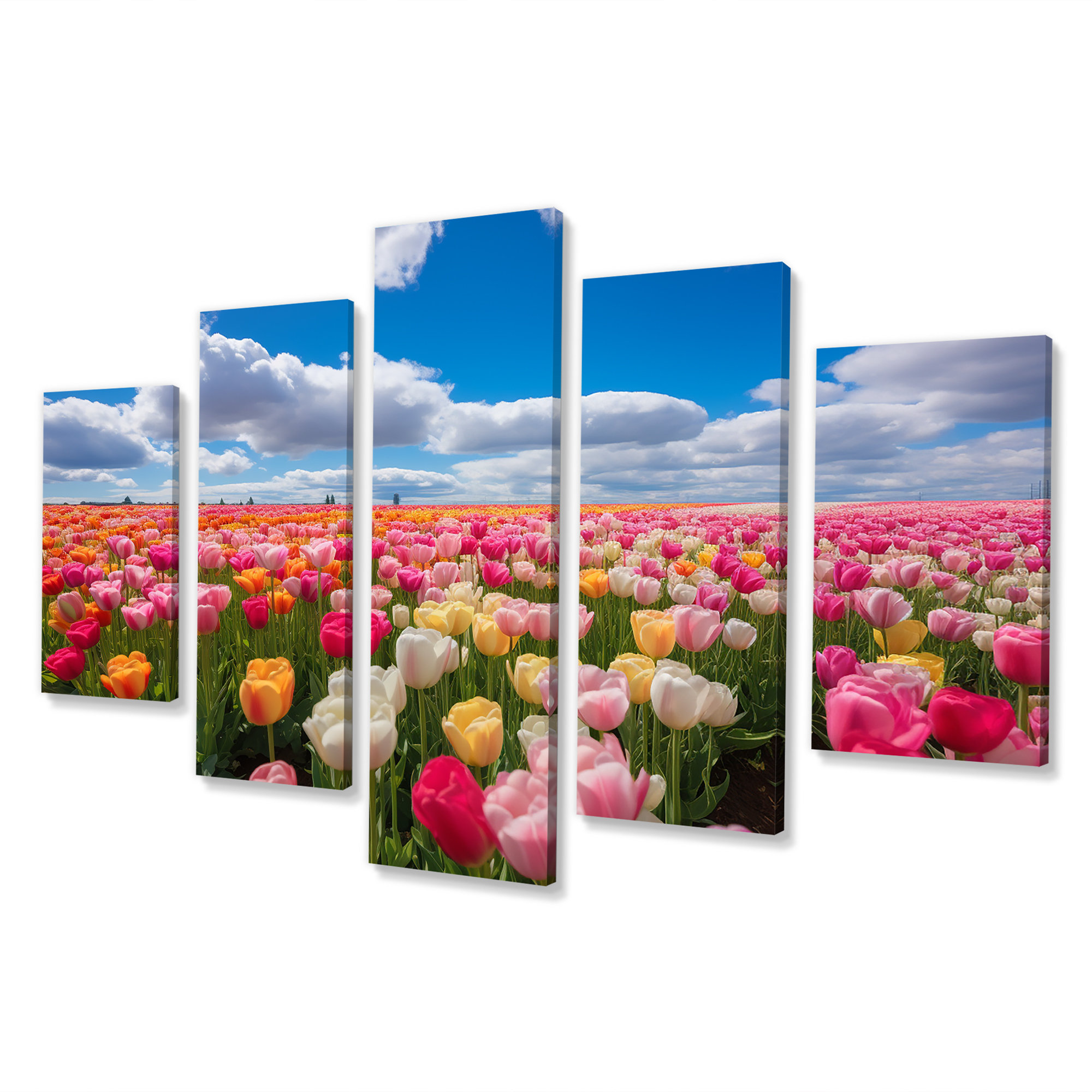 Lark Manor Pink And Yellow Tulip Field Beauty - Tulip Multipanel Wall ...