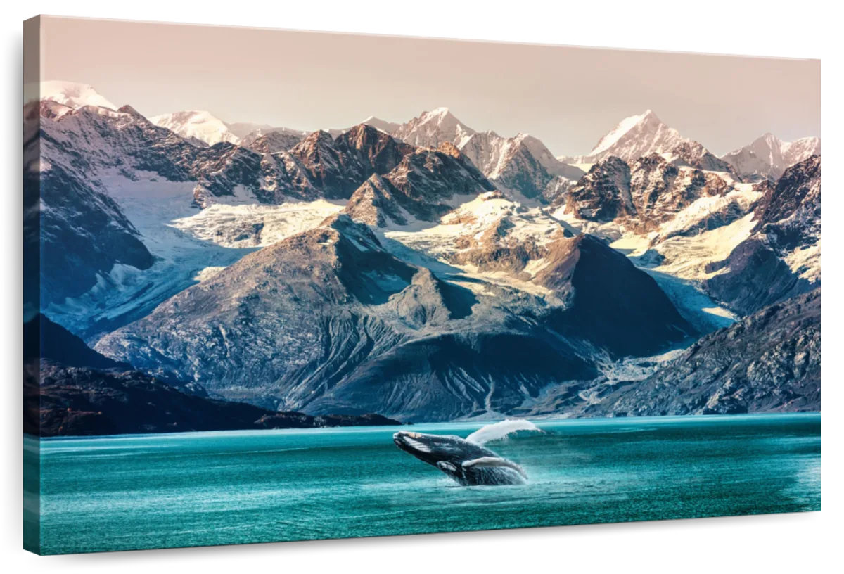 Elephant Stock Alaskan Whale Backflip | Wayfair