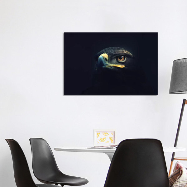 Union Rustic Hawk Eyes by Zoltan Toth - Photograph on Canvas | Wayfair ...