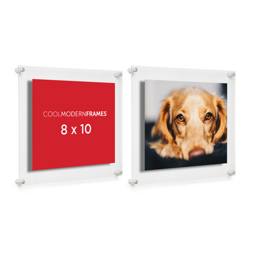 Cool Modern Frames Clear Acrylic Floating Picture Frame & Reviews | Wayfair