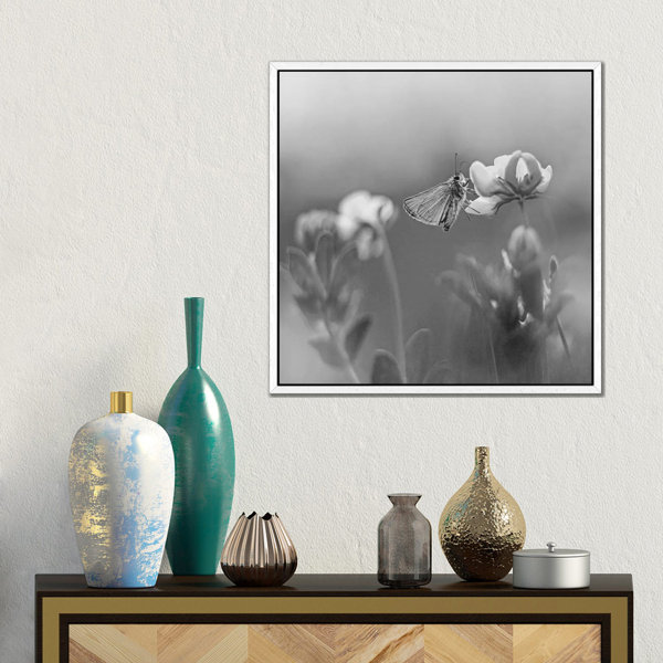 Ebern Designs Least Skipper Butterfly On Common Birdsfoot Trefoil ...