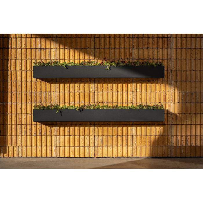 Geo Series Plastic Trough Hanging Planter & Reviews | AllModern