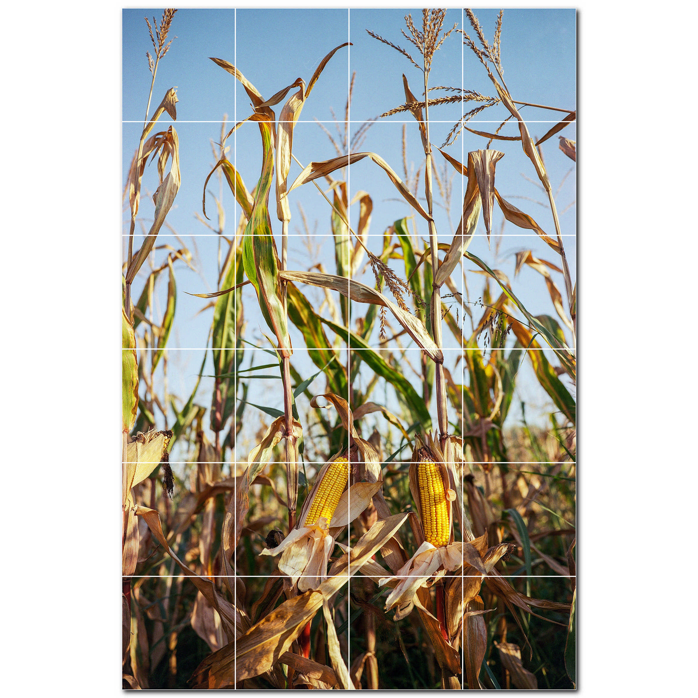 Picture-Tiles.com 48" x 32" Ceramic Farm Photo Decorative Mural Tile ...