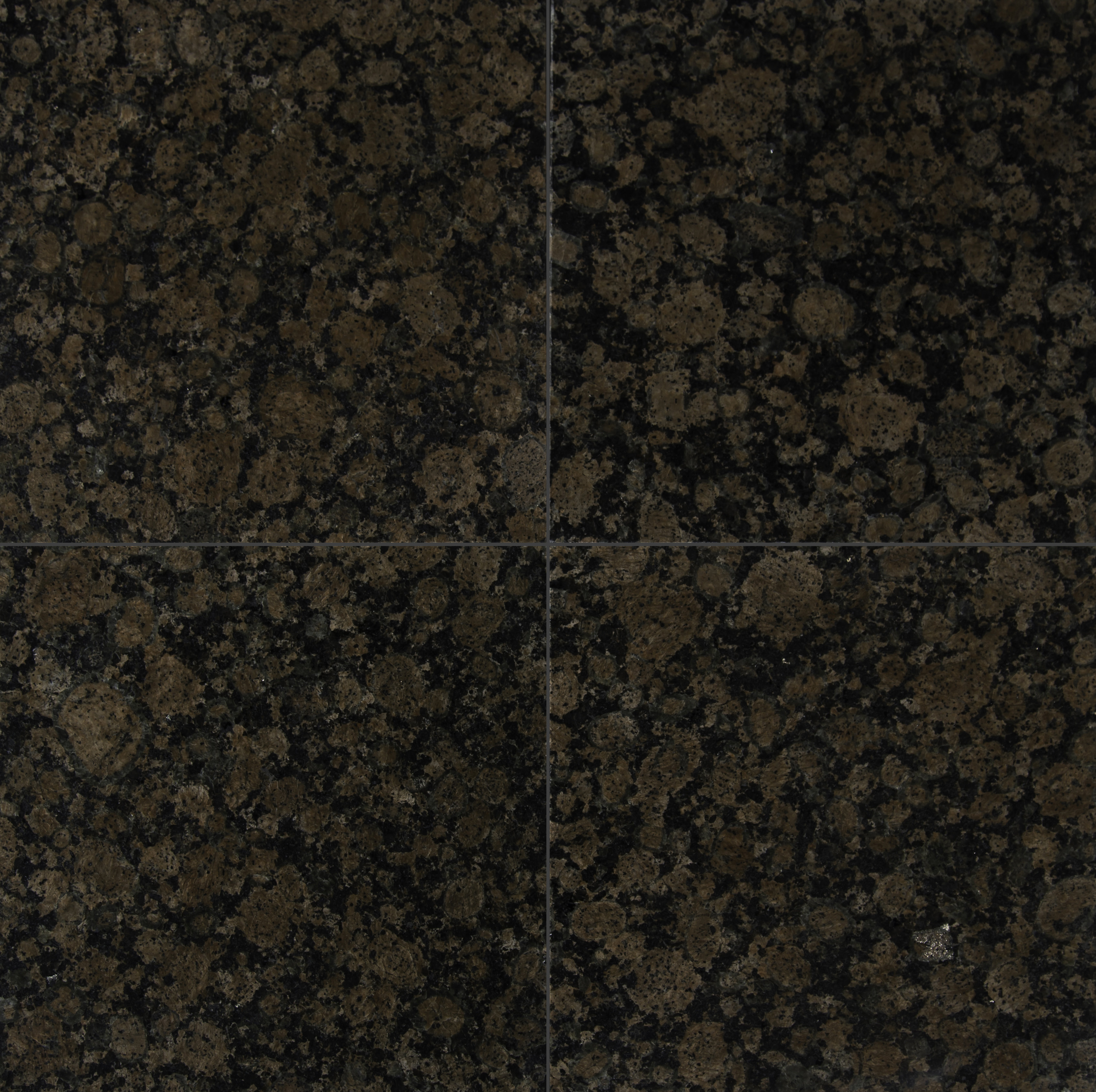 MSI Baltic Brown 12" x 12" Polished Granite Floor and Wall Tile ...
