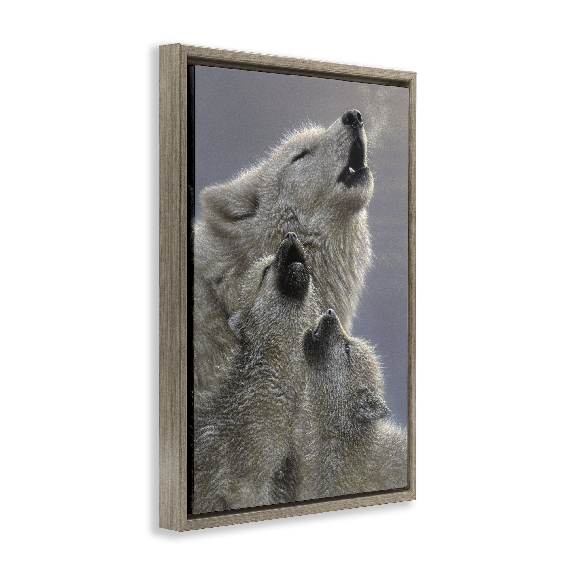 Latitude Run® Singing Lessons Wolves Floating Frame, design by Collin ...