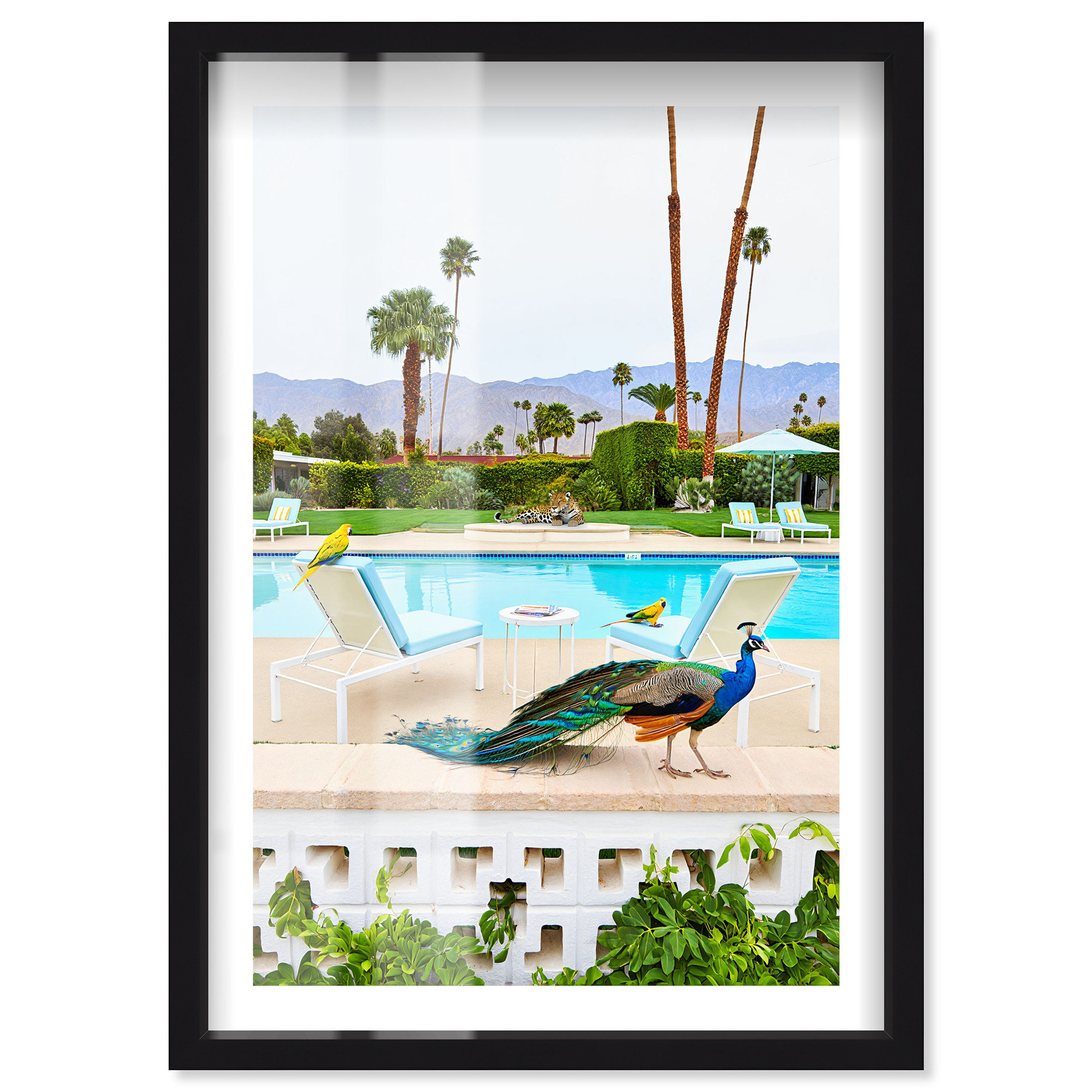 Notori Art Peacock's Poolside Shadowbox Print Fashion Art Prints by ...