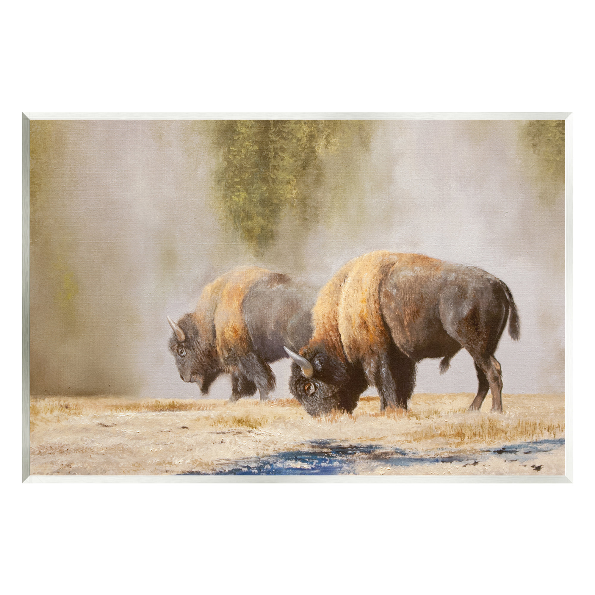 Stupell Industries Bison Wildlife Photography Wall Plaque Art By Mark ...