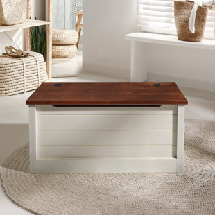 Storage Trunks You'll Love | Wayfair