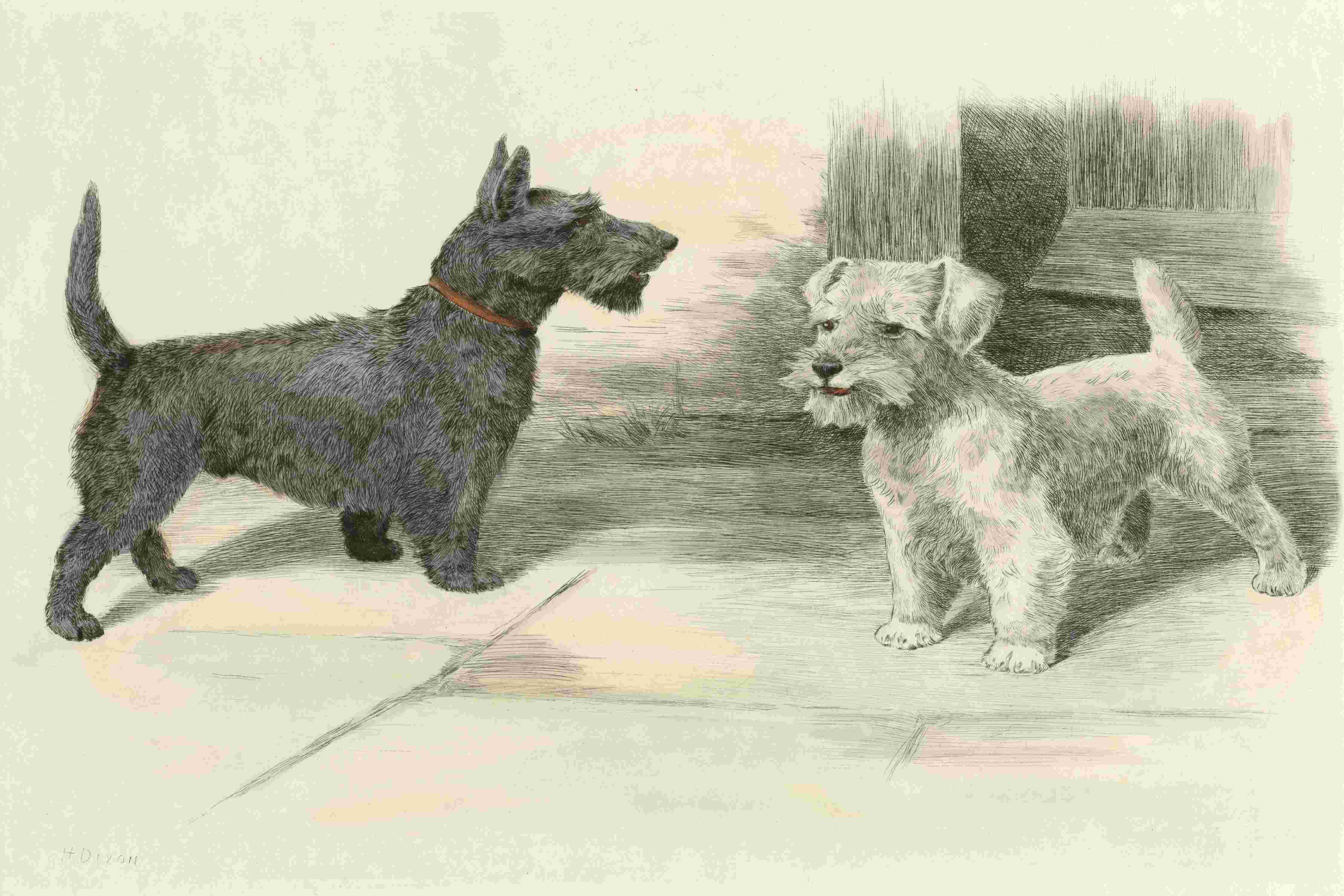 Red Barrel Studio® Two Scotties | Wayfair