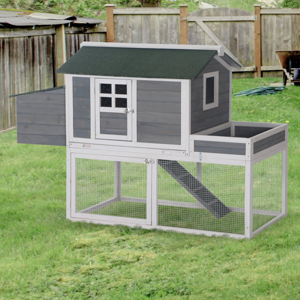 Archie & Oscar Bryson Chicken Coop | Wayfair.co.uk