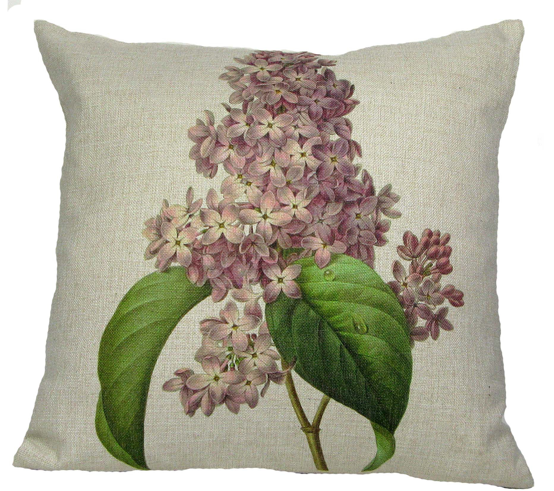 Golden Hill Studio Purple Lilac Pillow Cover "& Reviews" | Wayfair