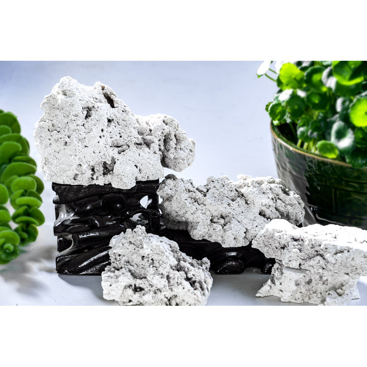 Tucker Murphy Pet™ Aqua Java Stone | Wayfair