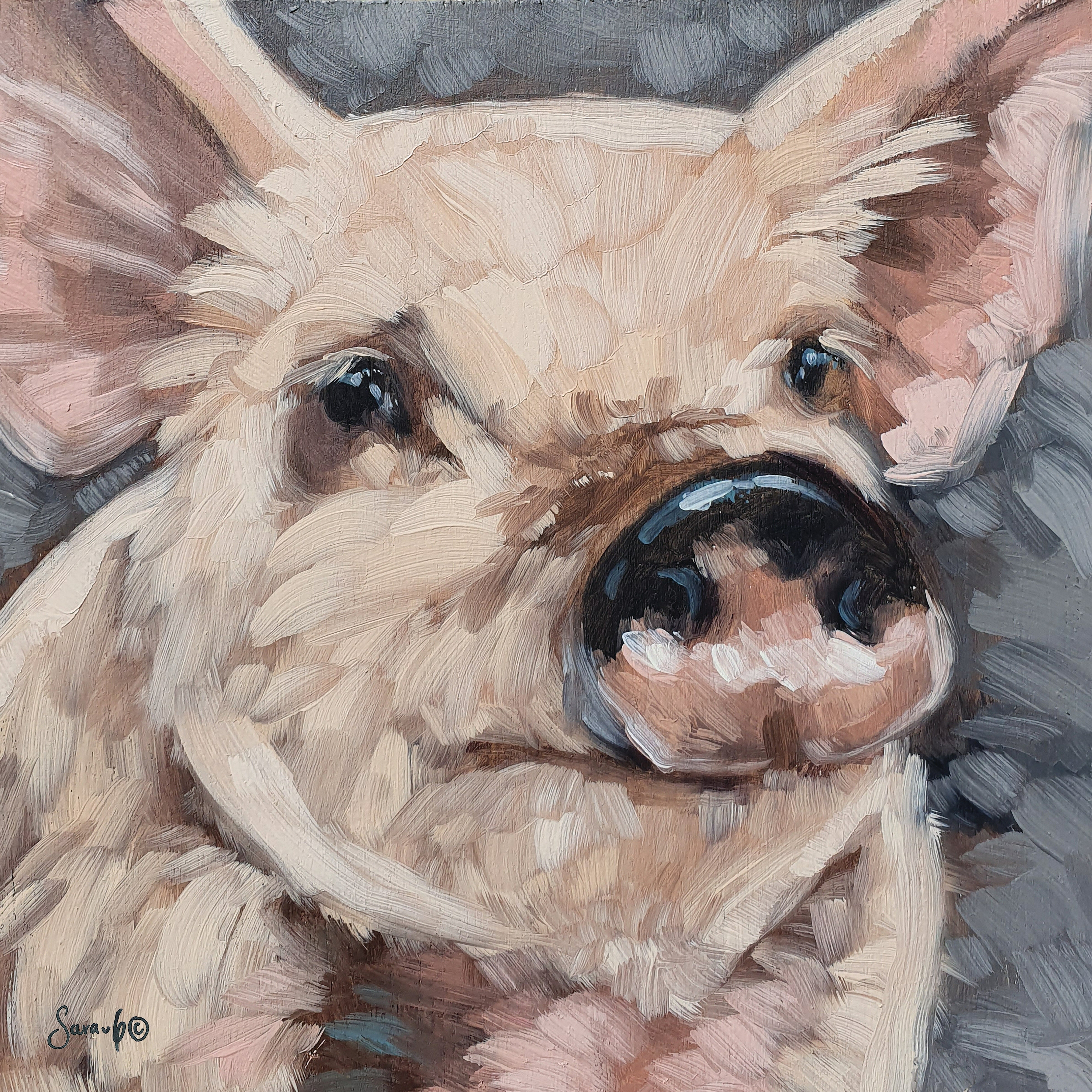 August Grove® Benny The Pig On Canvas by Sara G. Designs Print | Wayfair