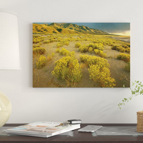 Bless international 'Sangre De Cristo Mountains at Great Sand Dunes ...