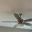Red Barrel Studio® Segars 52'' Ceiling Fan with Light Kit & Reviews ...