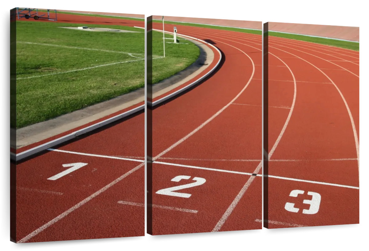 Ebern Designs Athletic Track Lanes - Wayfair Canada