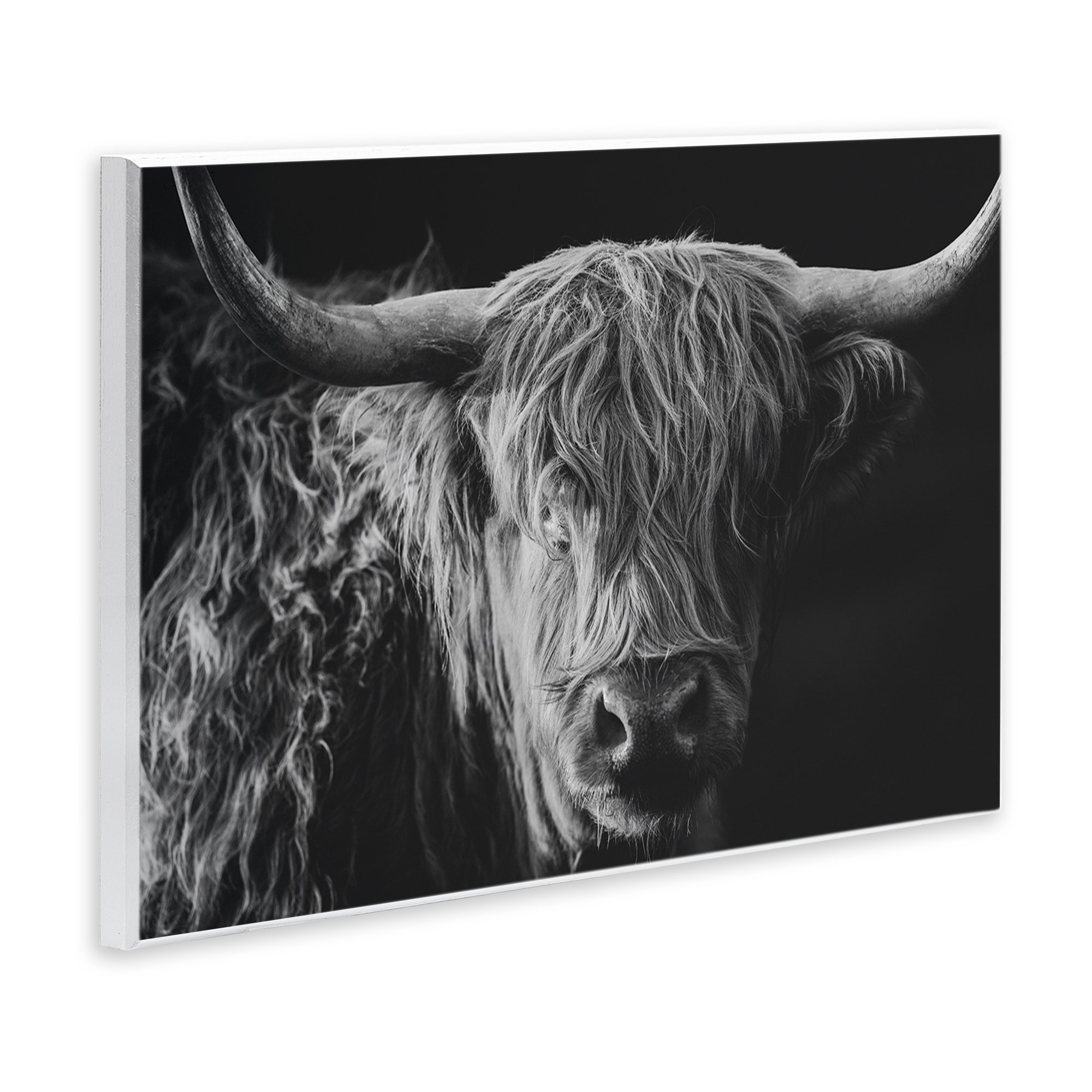 Fleur De Lis Living Scottish Highland Portrait Wall Plaque, design by ...