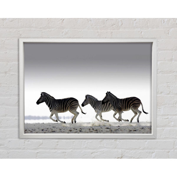 Bright Star Zebras Ocean Running - Single Picture Frame Art Prints on ...