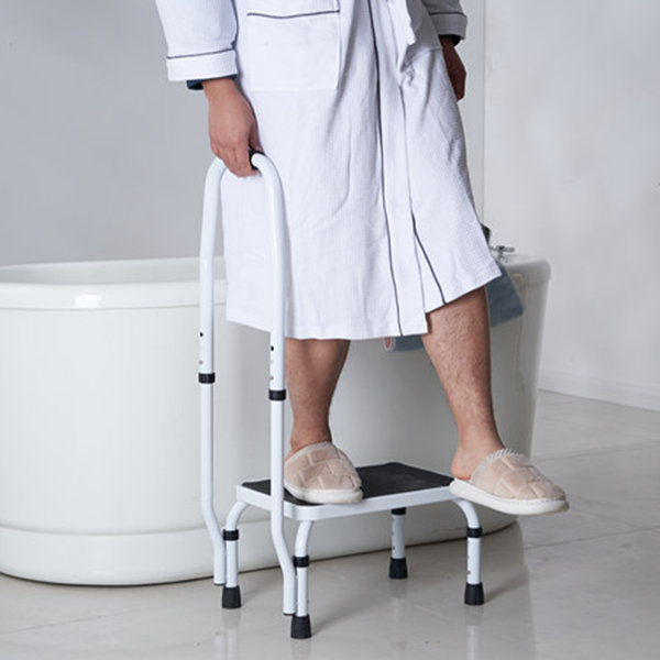 Symple Stuff Aadvi 1 - Step Steel Small Step Ladder & Reviews | Wayfair