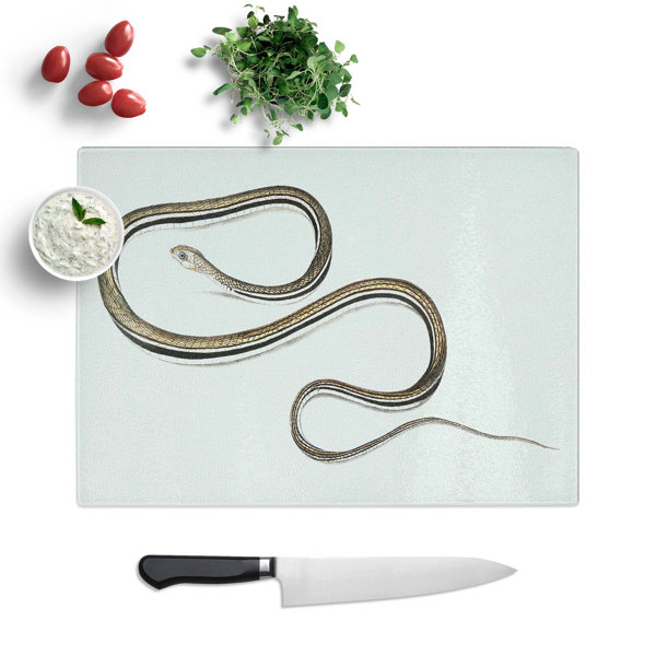 East Urban Home Glass Line-Tailed Tree Snake Illustration by John ...