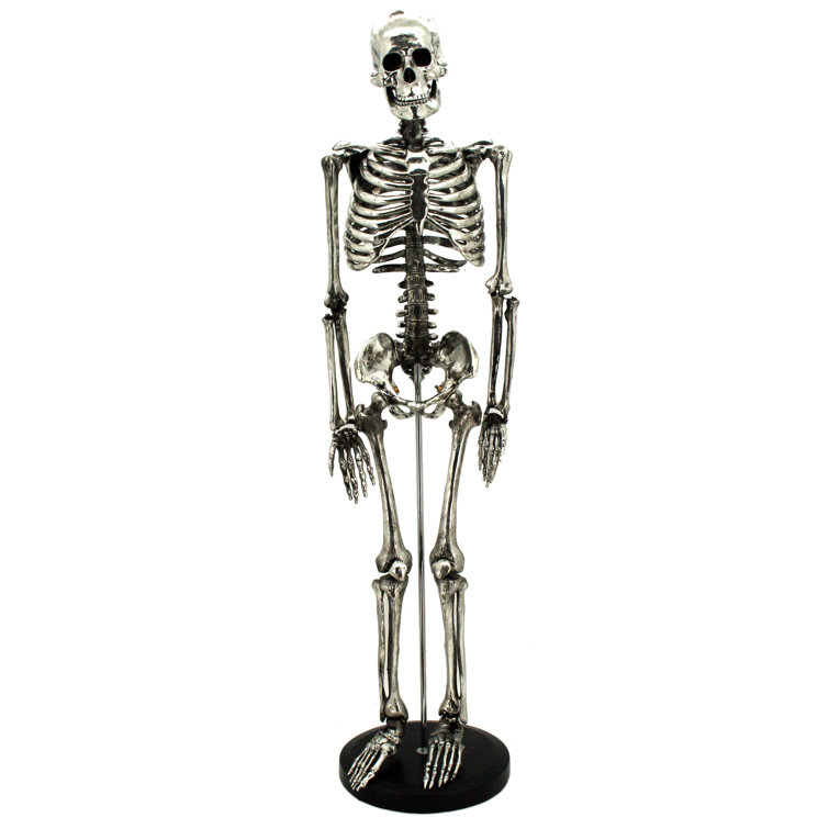 The Holiday Aisle® George the Skeleton | Wayfair