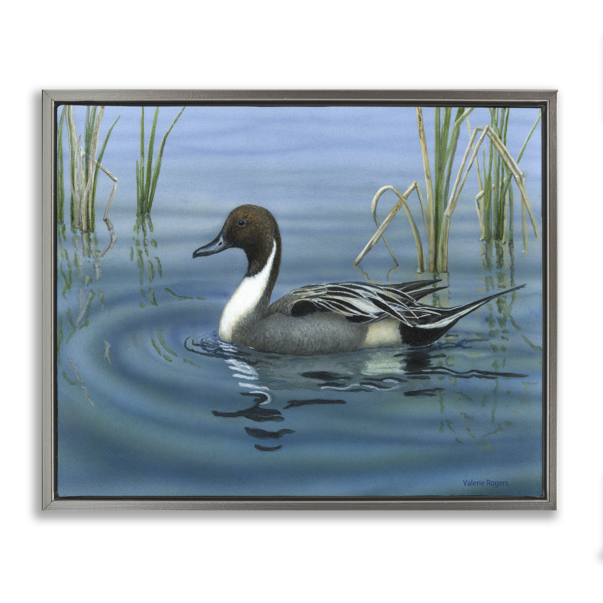 Latitude Run® Pintail Loon in Pond Floater Canvas Wall Art by Valerie ...