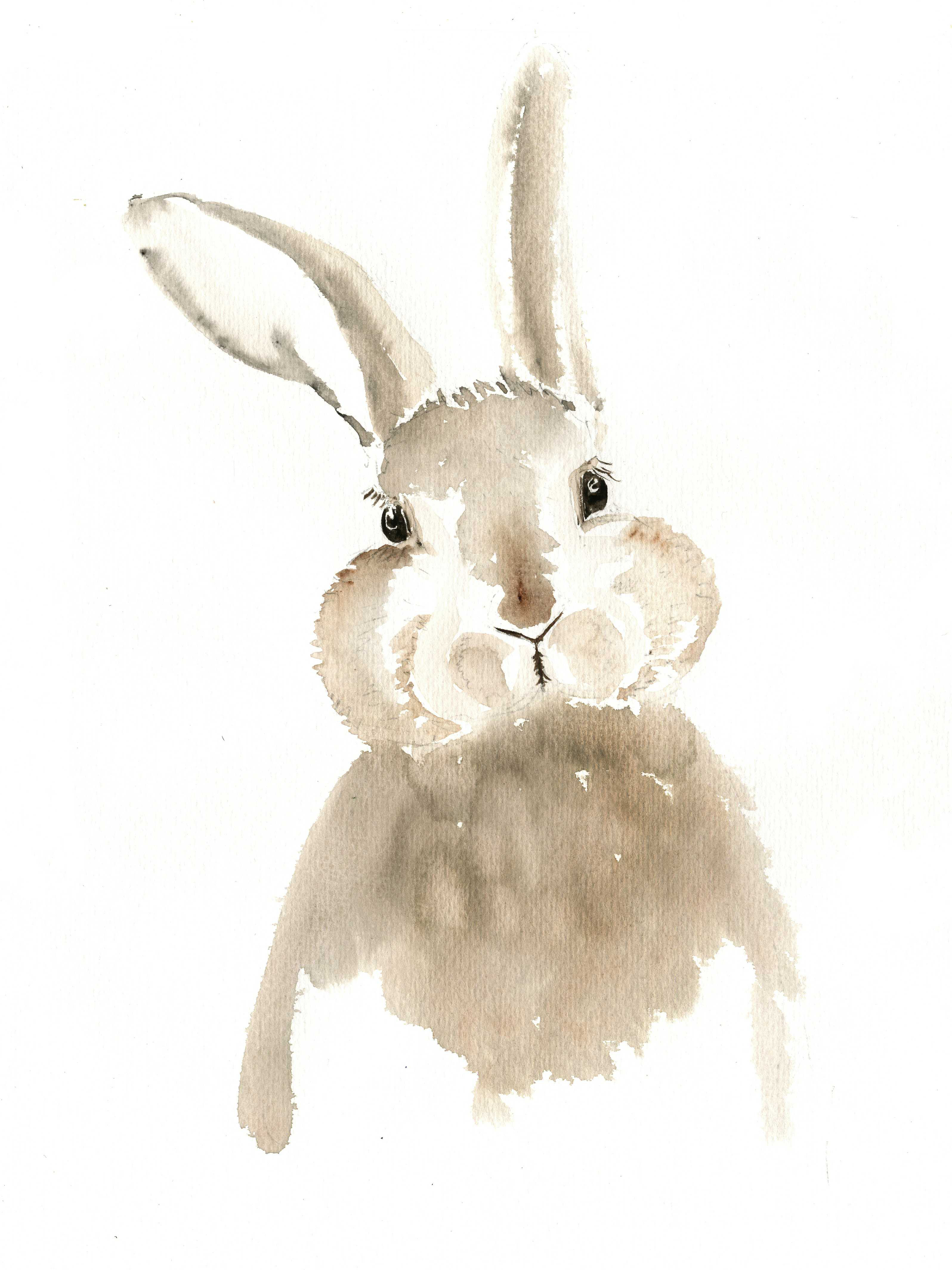 August Grove® Rabbit Watercolor 3 - Wrapped Canvas Painting | Wayfair