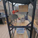 Tucker Murphy Pet™ Geniah Portable Cat Cage & Reviews | Wayfair