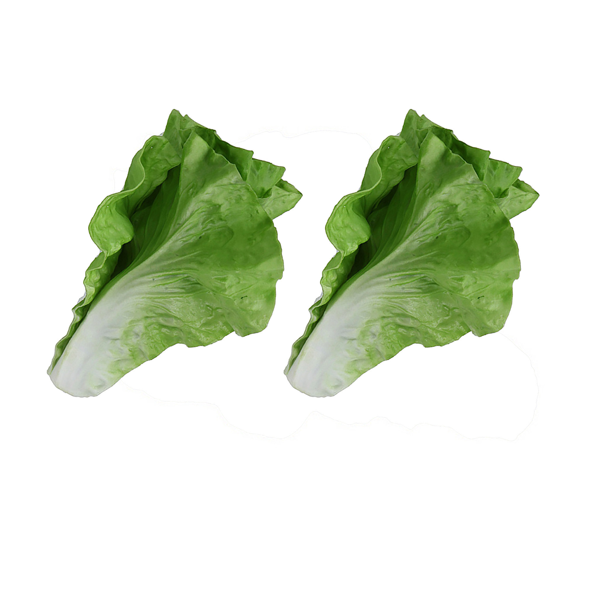 Rosalind Wheeler Cottman Small Lettuce | Wayfair
