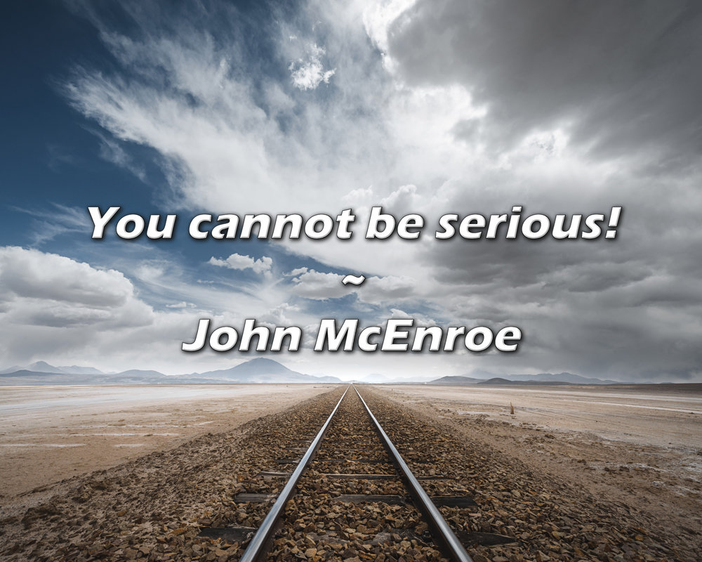Trinx John McEnroe Quote: You cannot be serious! | Wayfair