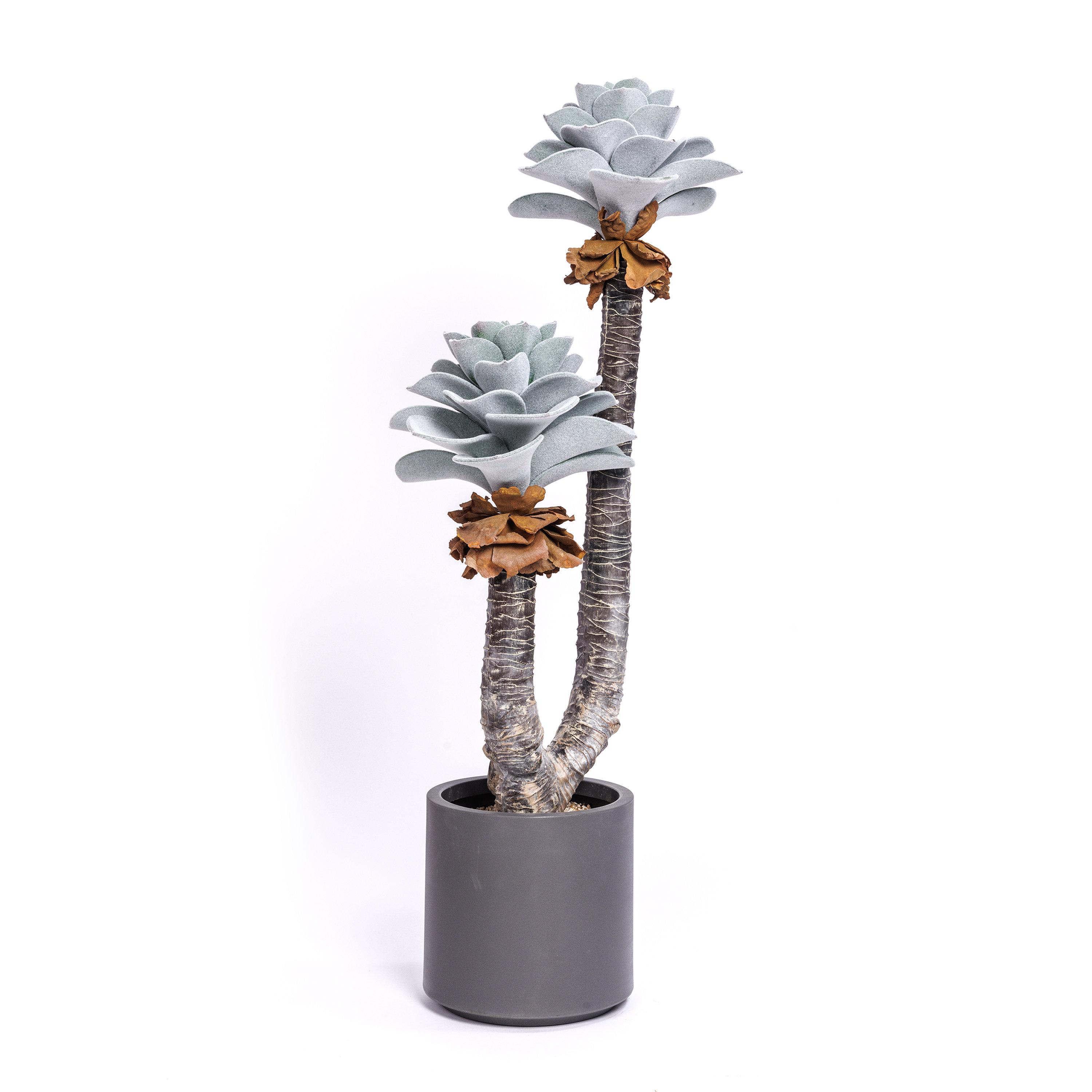 Primrue Faux Artichoke Agave Plant in Grey Planter |48”| Primrue | Wayfair