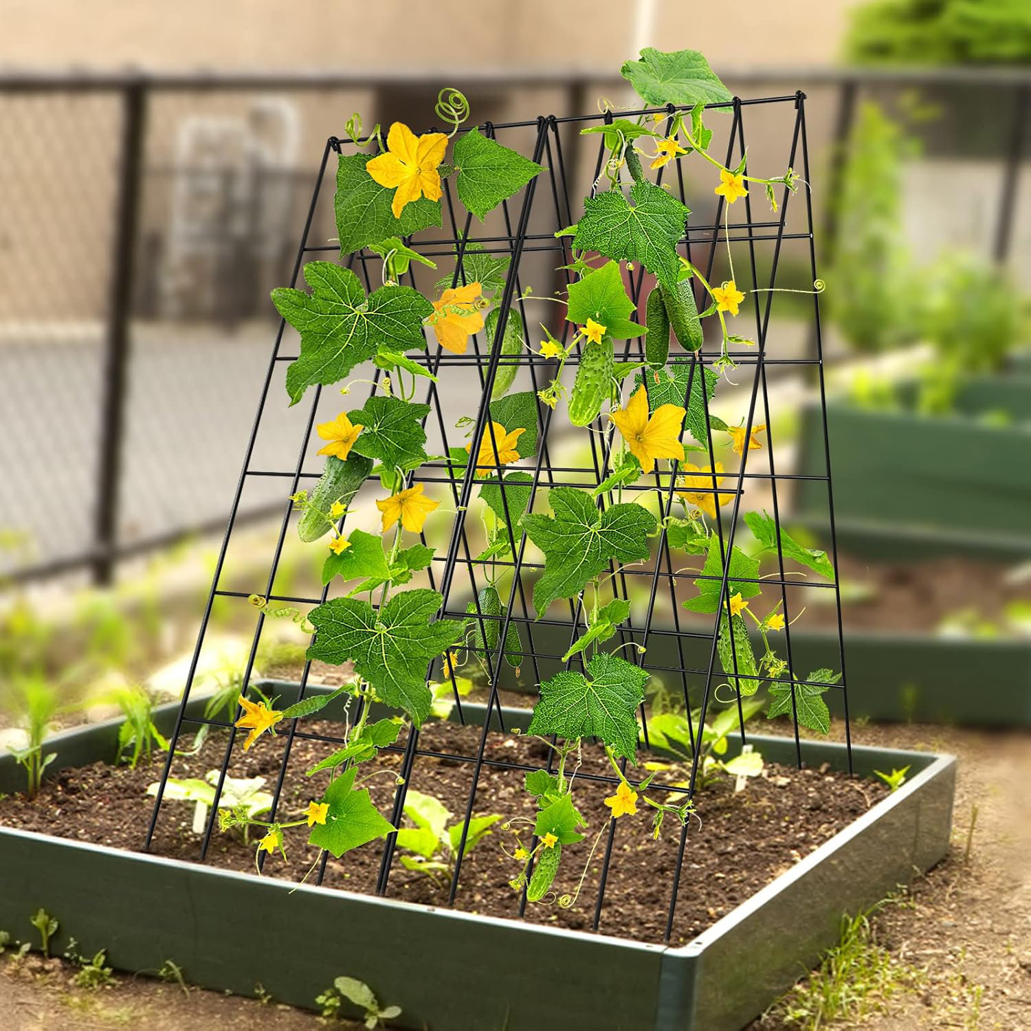 ShangQuan WuLiu Cucumber Trellis, 2 Pack Foldable A Frame Trellis for ...