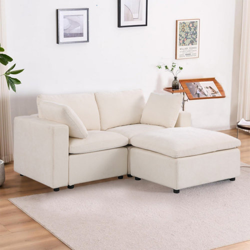 Schnappi Modern Module Sofa With Ottoman,Loveseat Sofa,Customizable ...