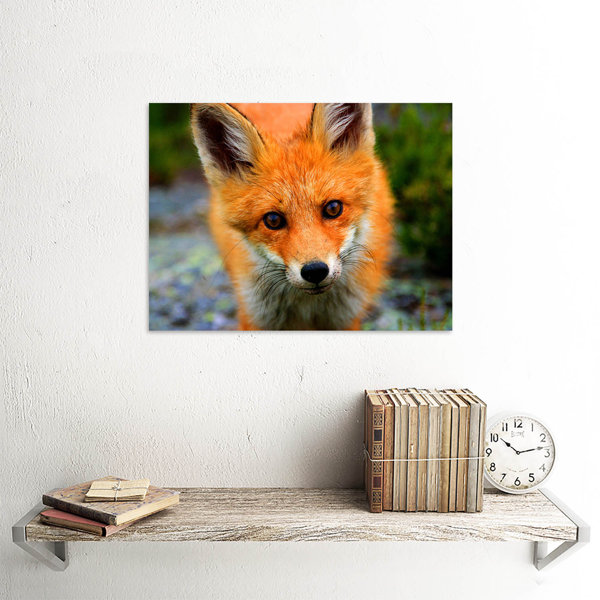 Alpen Home Baby Fox Portrait Woodland Animal Wildlife - No Frame Art ...