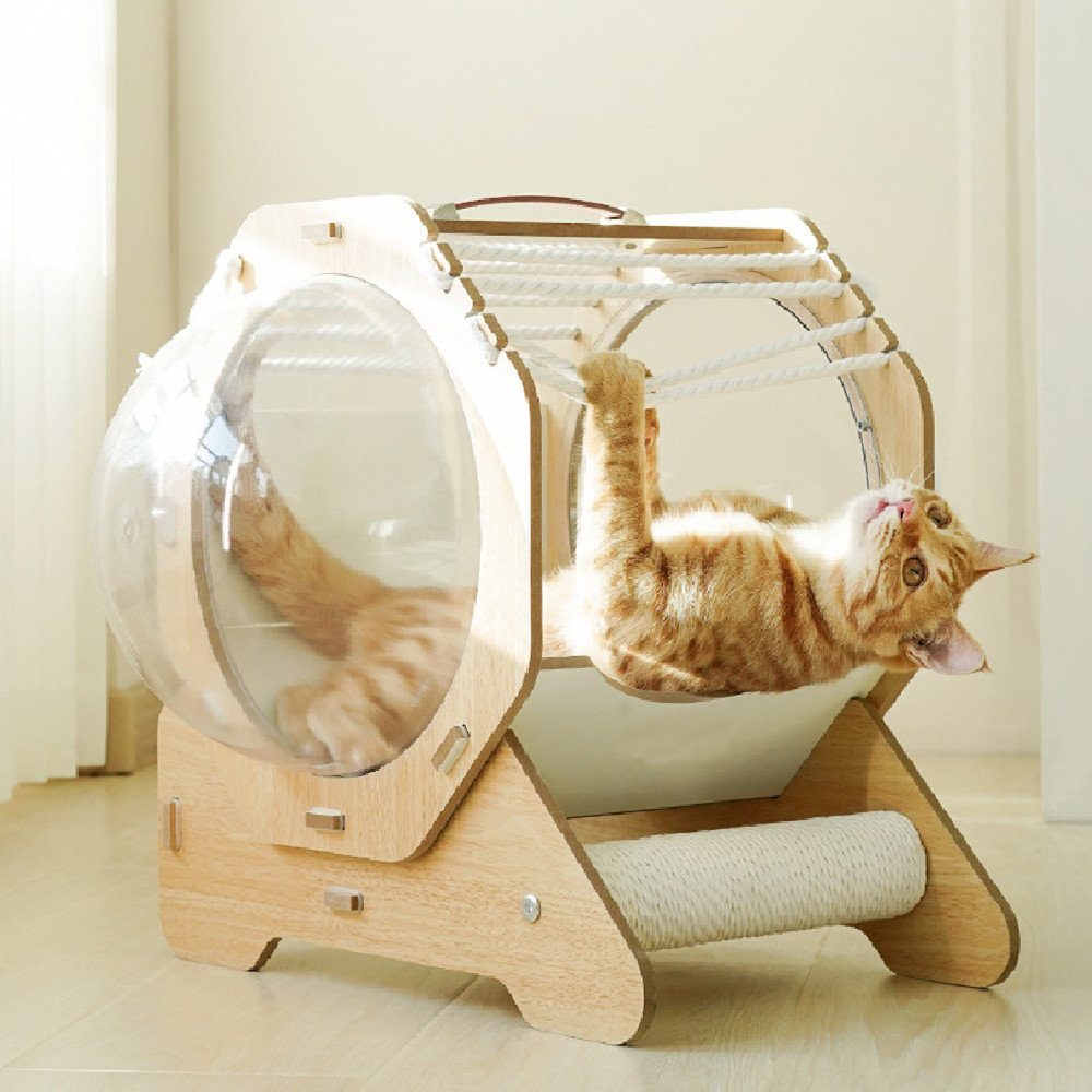 Tucker Murphy Pet™ Andolin Novelty Cat Bed - Wayfair Canada