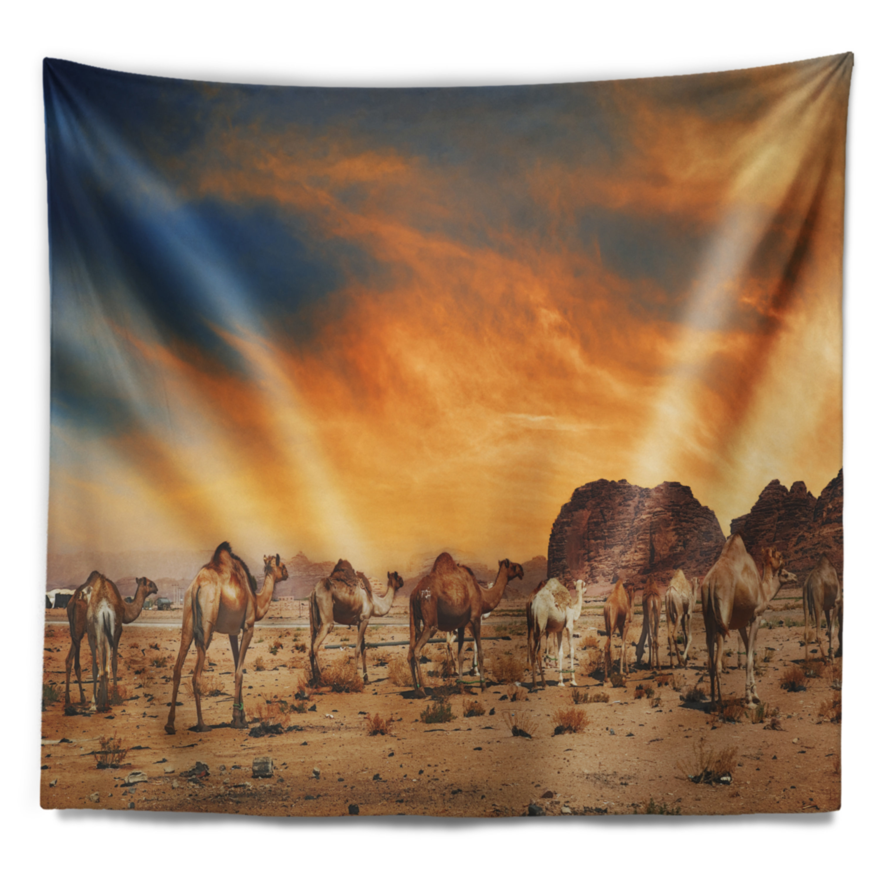 East Urban Home Photography Camels in Wadi Rum Tapestry | Wayfair