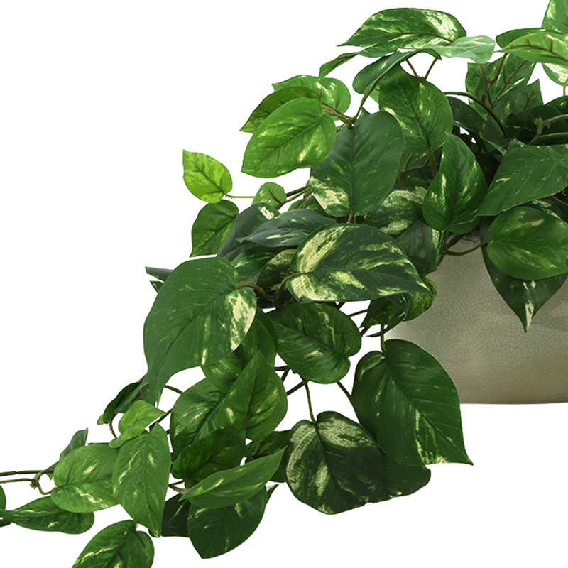 Primrue 12'' Faux Pothos Plant in Ceramic Pot | Wayfair